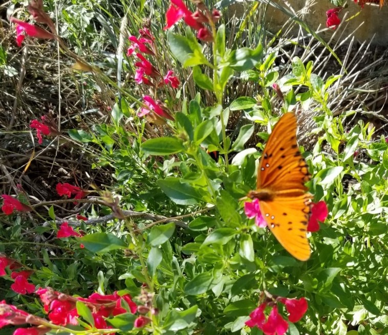 Breath Prayer – Elaine Gantz Wright